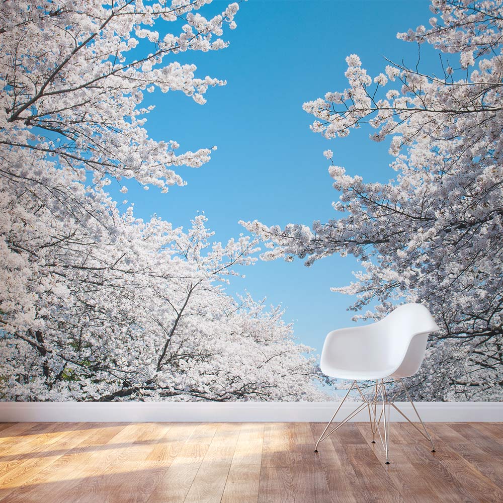 Cherry Blossom Wall Mural Cherry Blossom Wall Mural